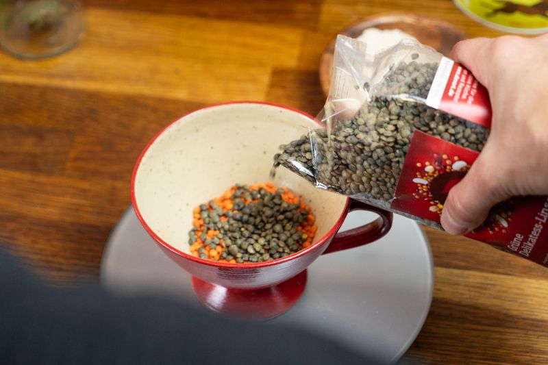 🎄🐶 Festive Vegan Dog Food Recipe: Lentil Patties with Pumpkin Puree