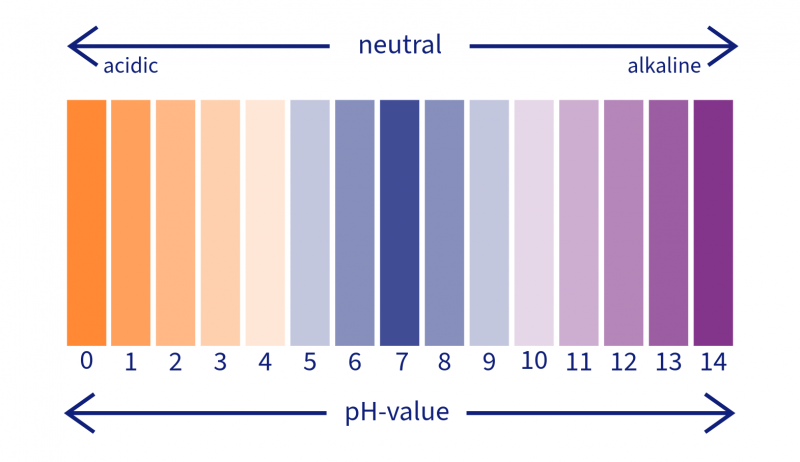 Understanding Your Dog's Urine pH Levels: Causes, Effects, and Solutions